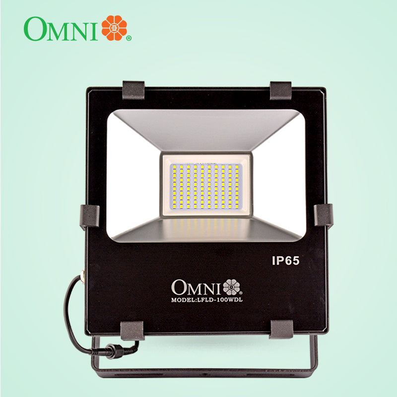 LED Weatherproof Floodlight (IP65) 100 Watts (Cool White) - LFLD-100WC ...