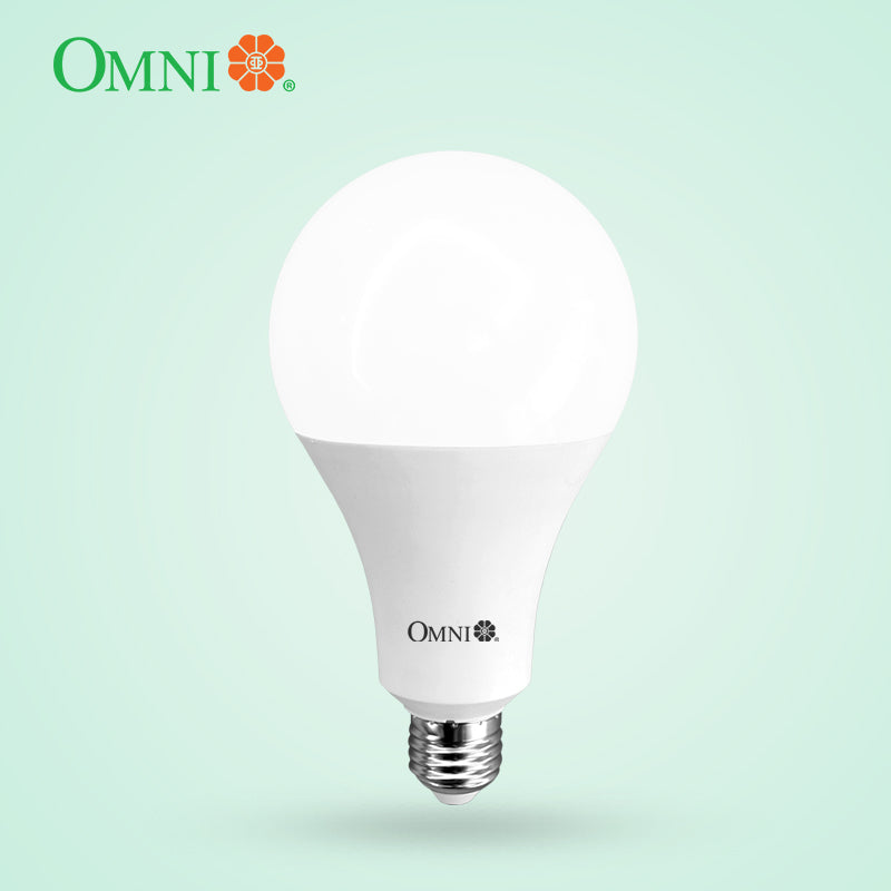 LED Lite A95 12 Volts Bulb E27 Base 20 Watts - LLA95E27-20W-12V – Omni ...