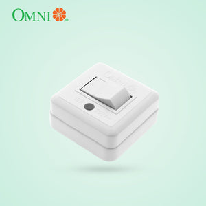 Surface Mounted Convenience Switch 10A - WSS-003 – Omni Philippines ...